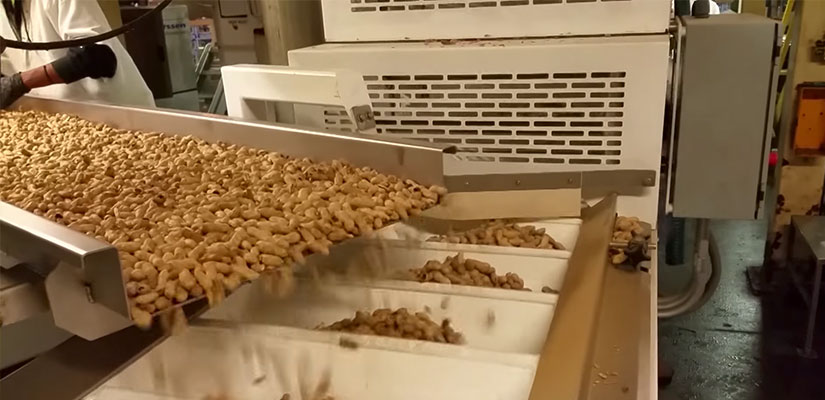 Sachs Peanuts Installs Hayssen Packaging Line for In-Shell Products